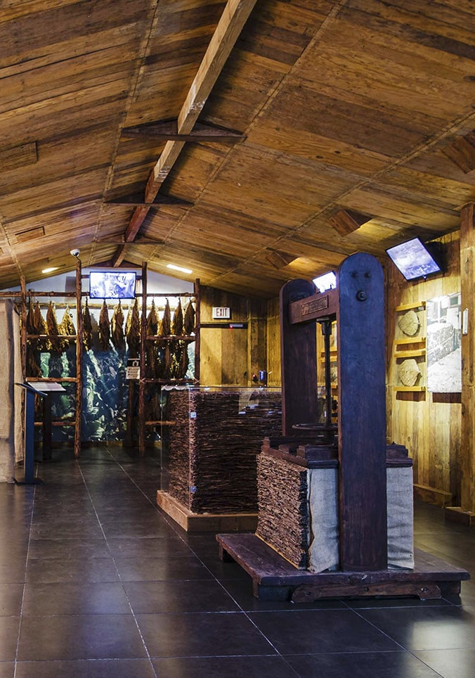 Local activities - Camp David Ranch